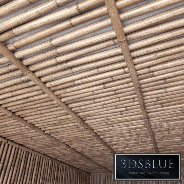 Bamboo ceiling / Bamboo ceiling