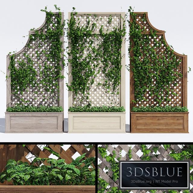 Trellises