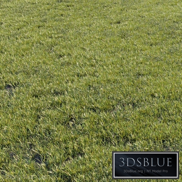 Grass kit 1