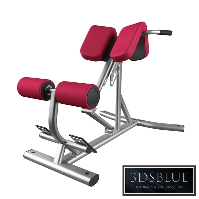 Lifefitness Signature Series Back Extension