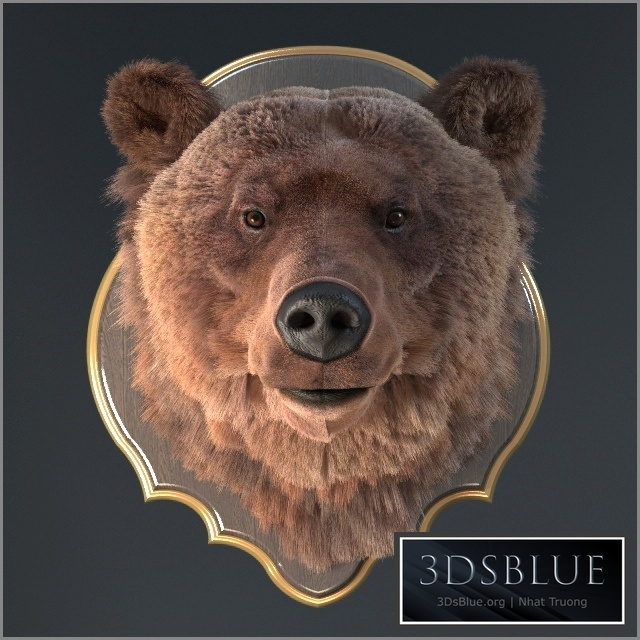 Bear