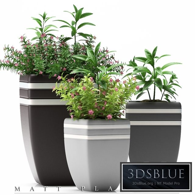 PLANTS 44