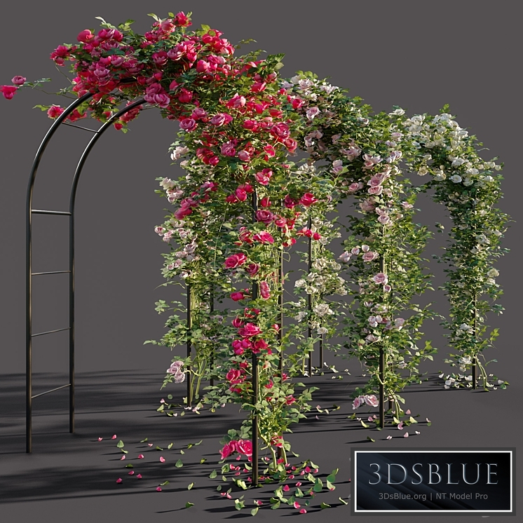 Arch with roses