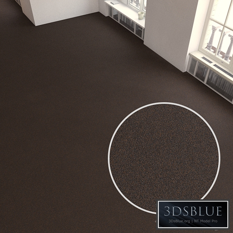 Carpet covering 117