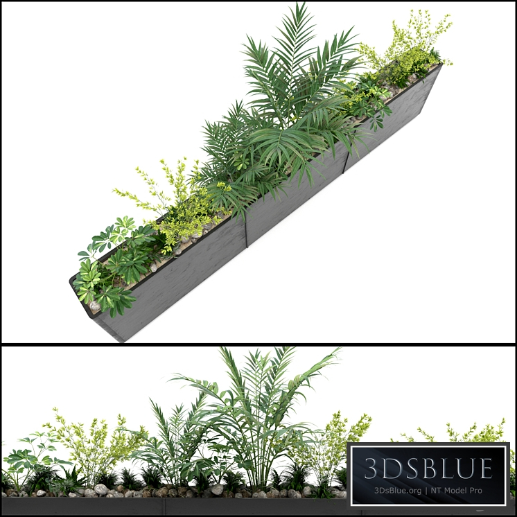 jC Long Planter 1