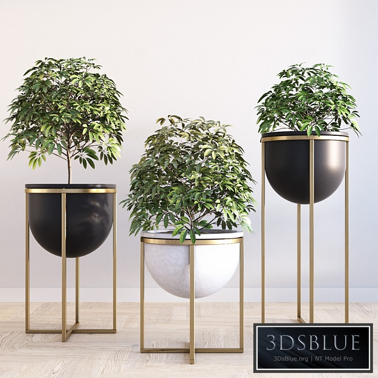 Eden cross base standing planters set