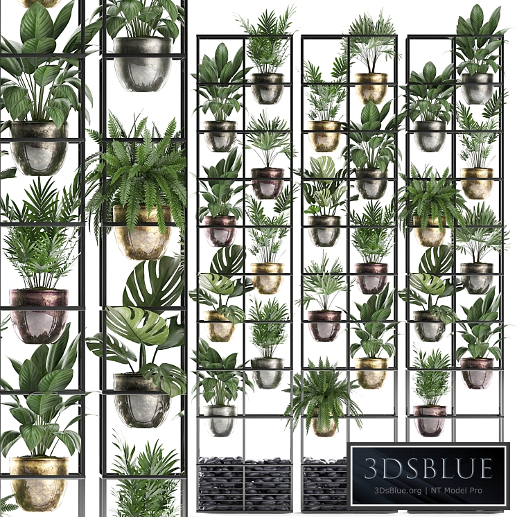 Vertical gardening. 27. Shelf with plants, rack, fern, areca palm, mon