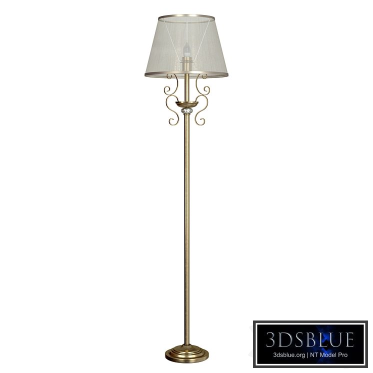 Floor lamp Driana FR2405-FL-01-BZ