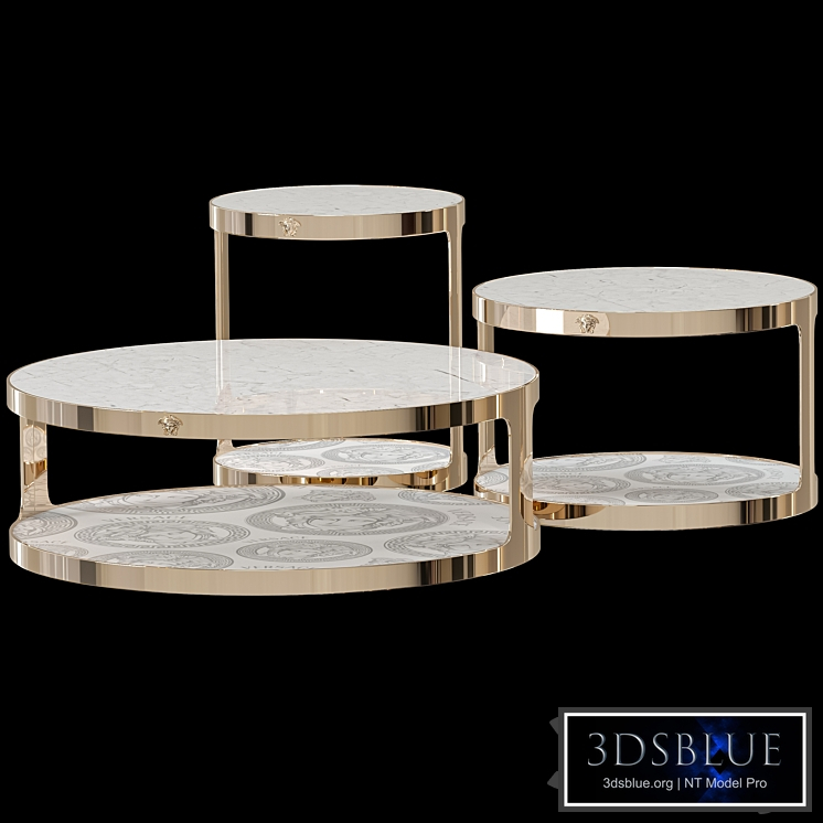 versace home Medallion Coffee Table 2